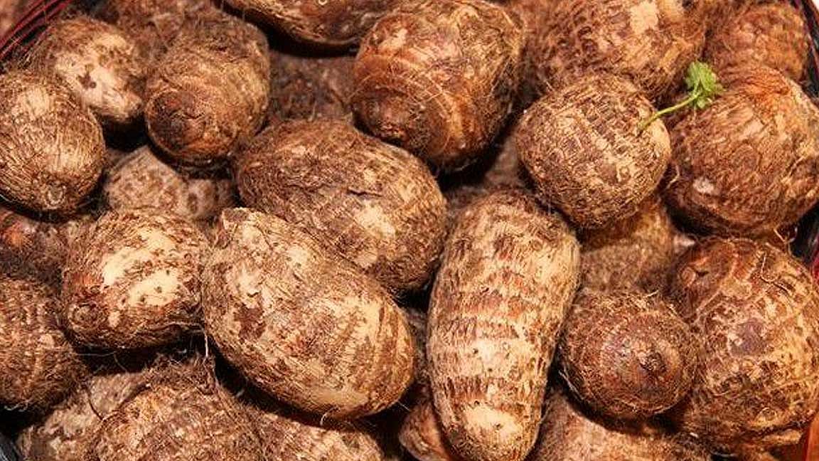 சேப்பங்கிழங்கின் பயன்கள் தெரியுமா?