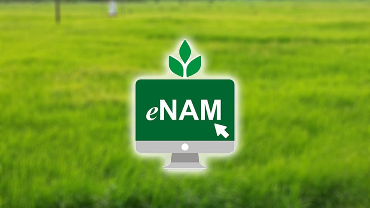 E-NAM application to strengthen the agricultural market!