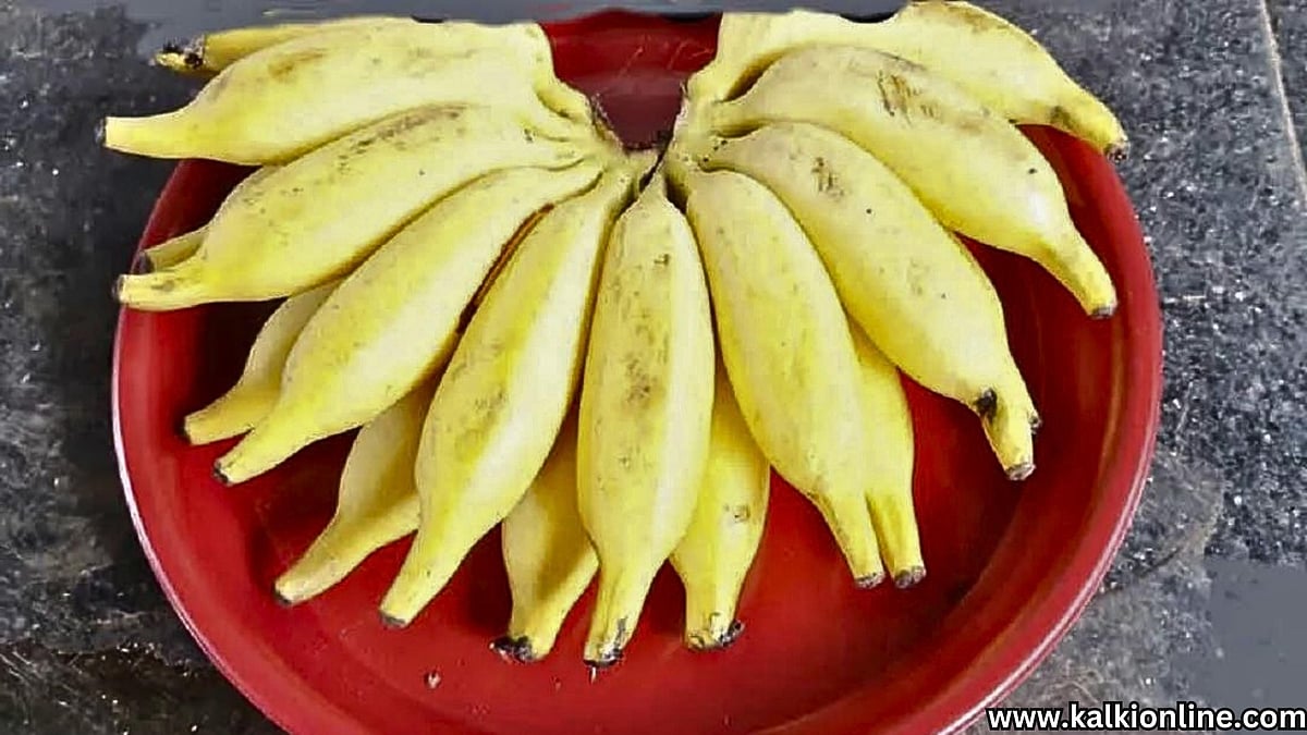 How much is the cost of Matti banana?