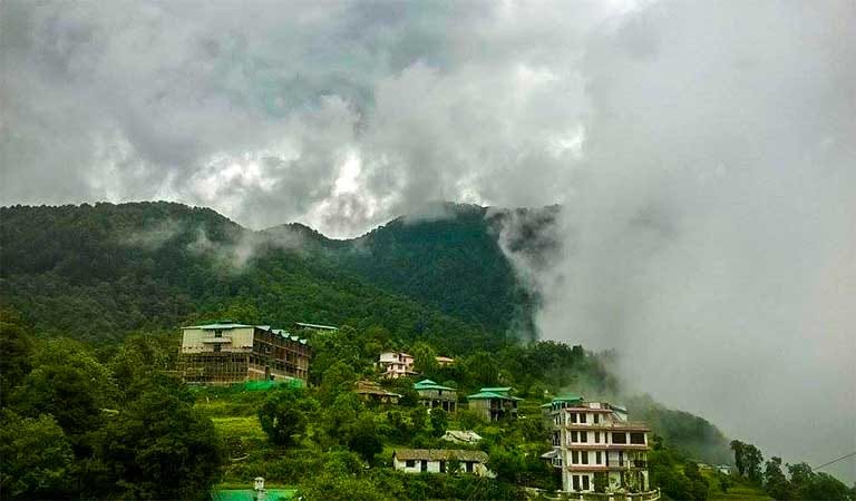 Craving a weekend getaway trip? Explore Pangot's wildlife, located 400 ...