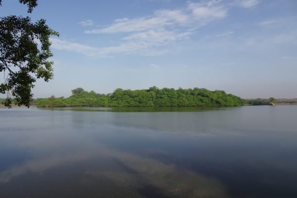 Nanda lake becomes Goa's first internationally recognised Ramsar site