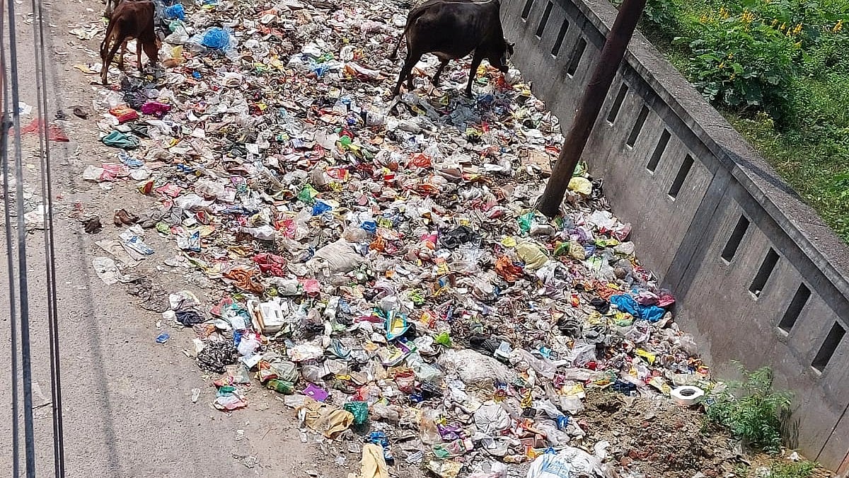 In a major revamp, dumping sites in Lucknow to be transformed into ...