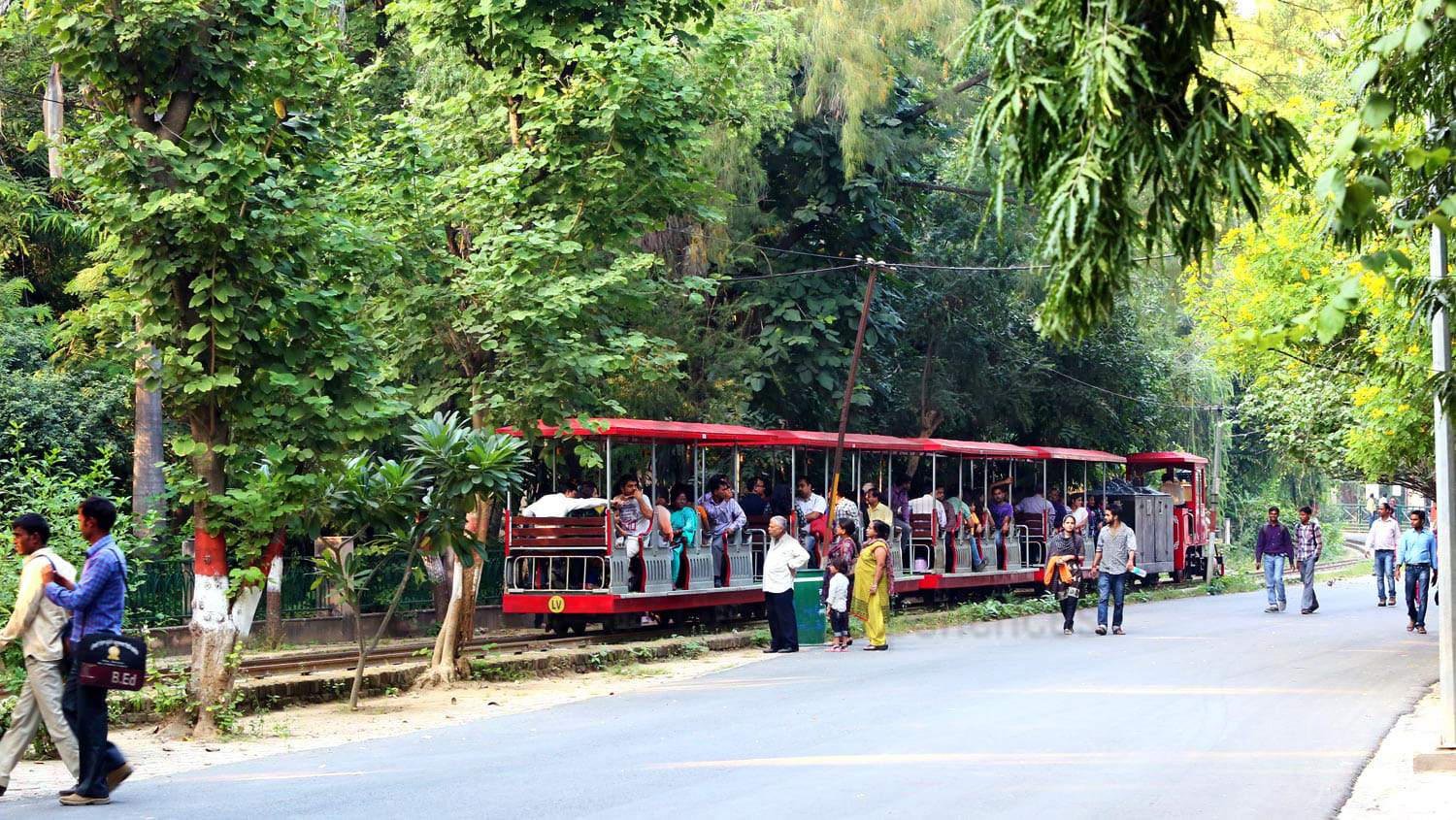 Lucknow zoo preps up to provide care against cold to animals
