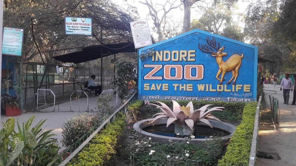 Indore zoo all set to welcome 311 new animals as Animal Exchange ...