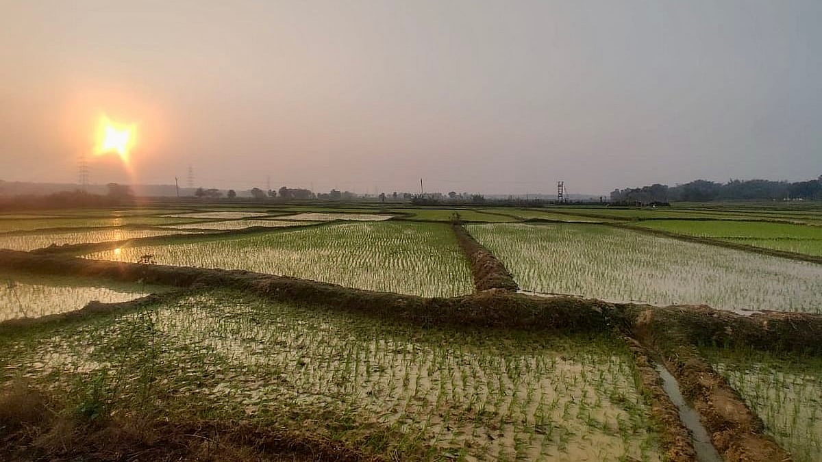 Kanpur weather to remain steady at maximum 39°C with party cloudy skies ...