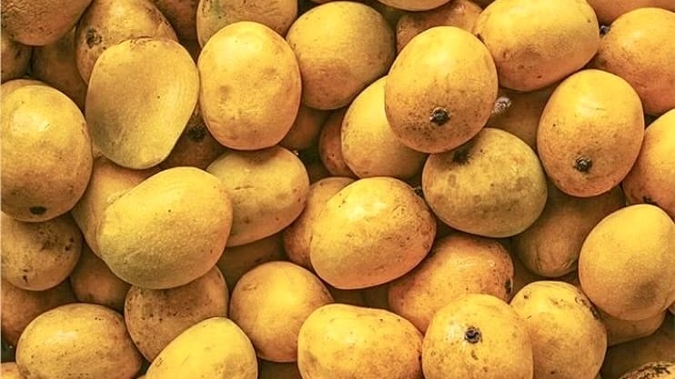 Making everyday mangoficent, here are 9 kinds of mangoes hailing from ...