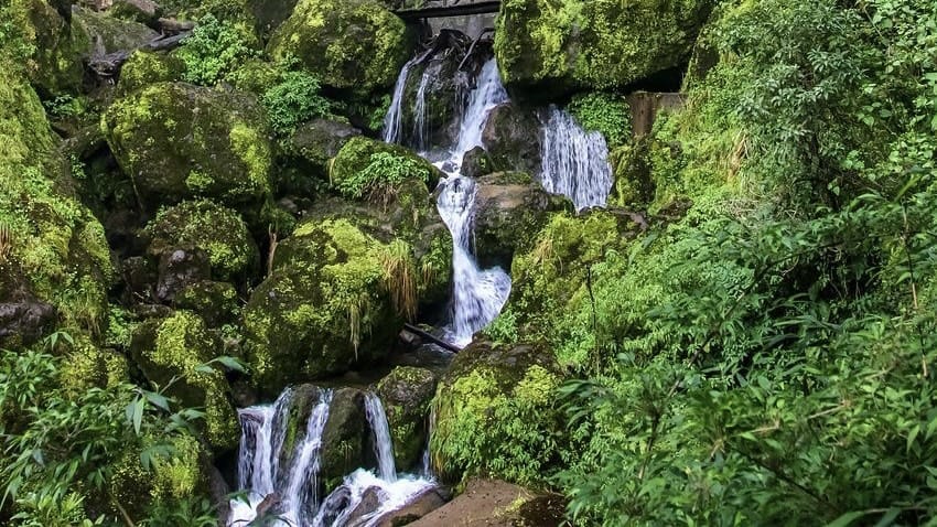 With lush greenery all around, visit THESE 5 majestic waterfalls near ...