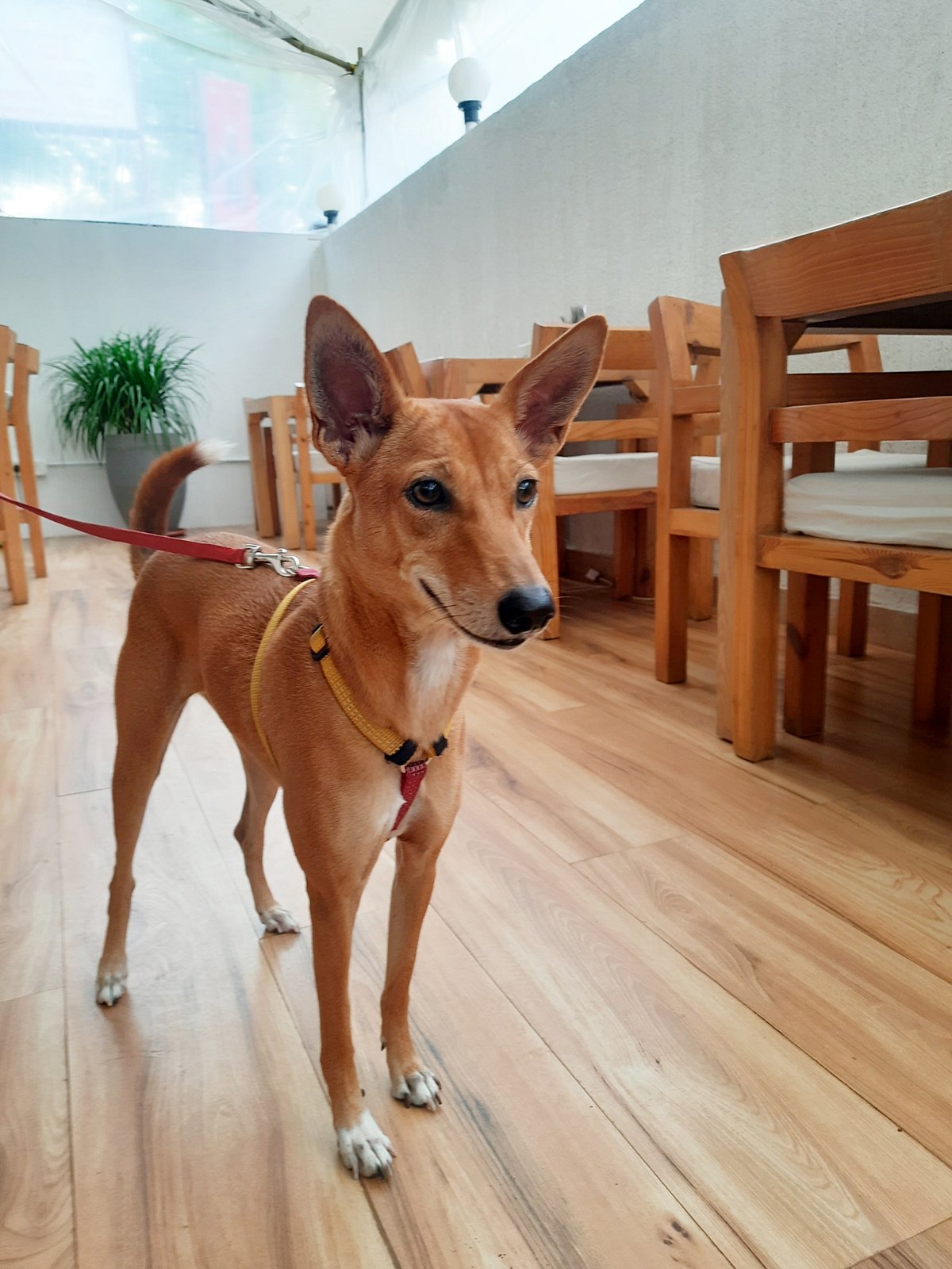 Aug 4 | This Int'l Beer Day, here's a look at Mumbai's Doolally, India ...