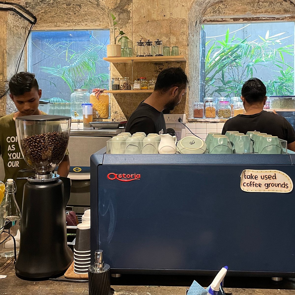 Bandra's Greenr Cafe beckons foodies in Mumbai to embrace sustainable ...