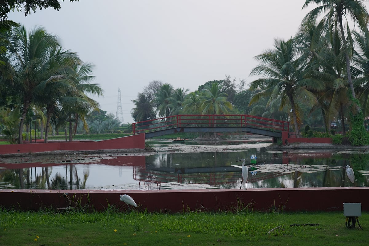 Getaway to Palm Greens Club & Resort: A luxurious green haven just 28 ...