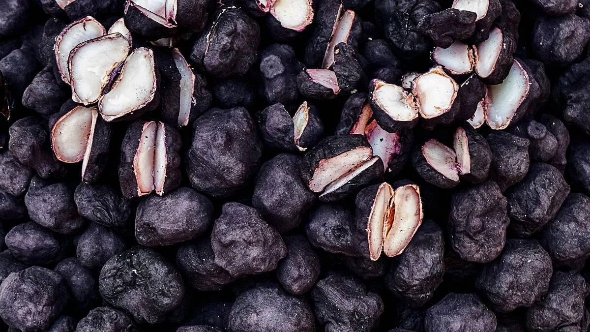 After mangoes, UP's famous 'Singhaada' to debut in the Gulf markets