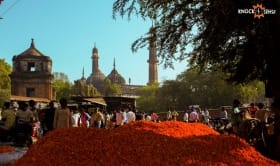 Take a morning trip to the Phool Wali Gali in old Lucknow- one of the ...