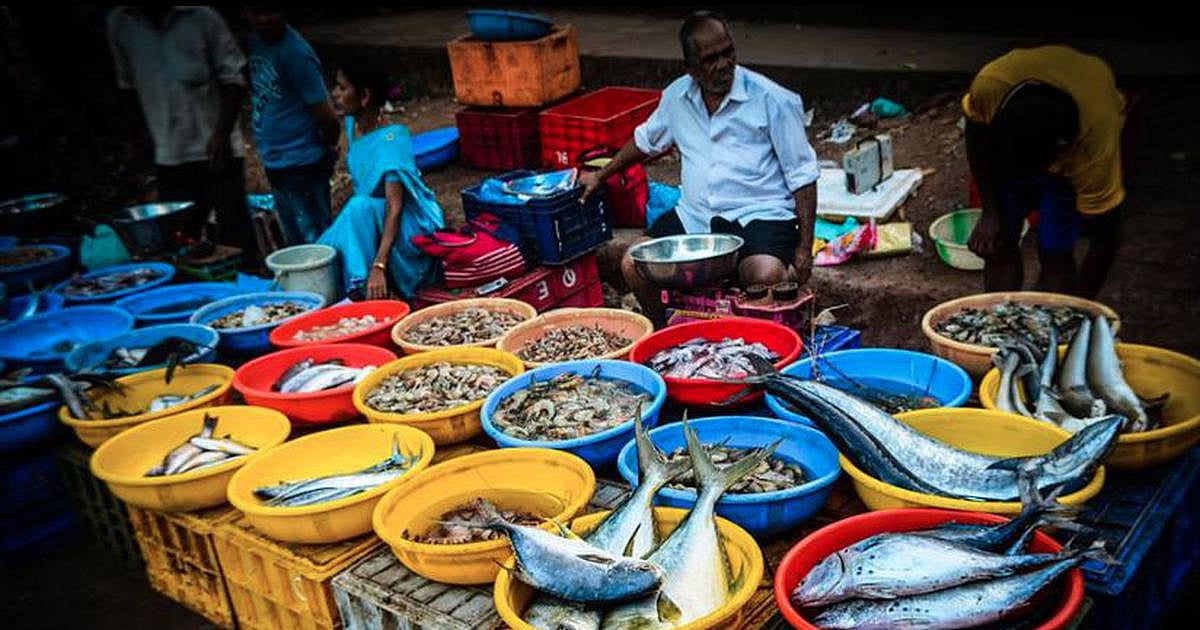 India's first fisheries hub to come up in Goa, boosting state's ...
