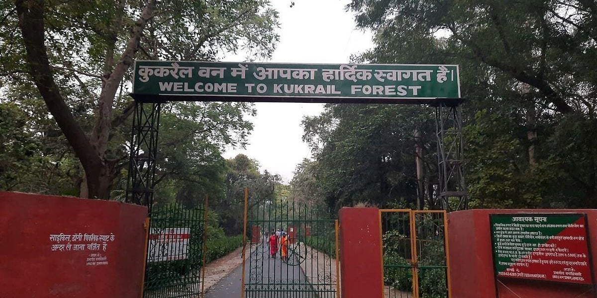 Catch a break from Lucknow's bustle & head to Kukrail Reserve Forest ...