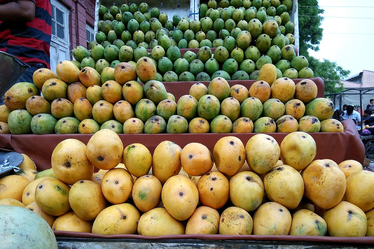 Home delivery of mangoes in THIS Rajasthan district to help mango ...