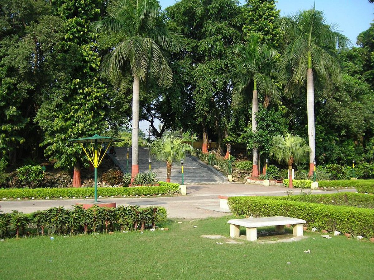 Almost 1 lakh trees to be planted in Lucknow to increase city's green ...