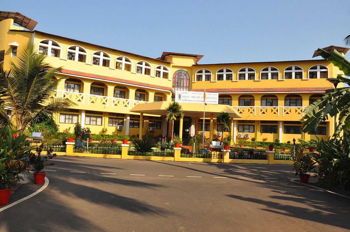 icar-ccari goa