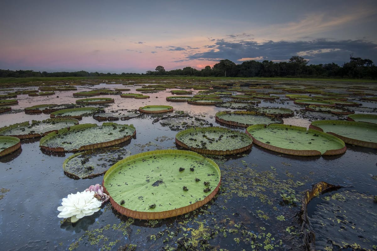 UP to be brimming with wetlands soon; What is the 'One District One ...