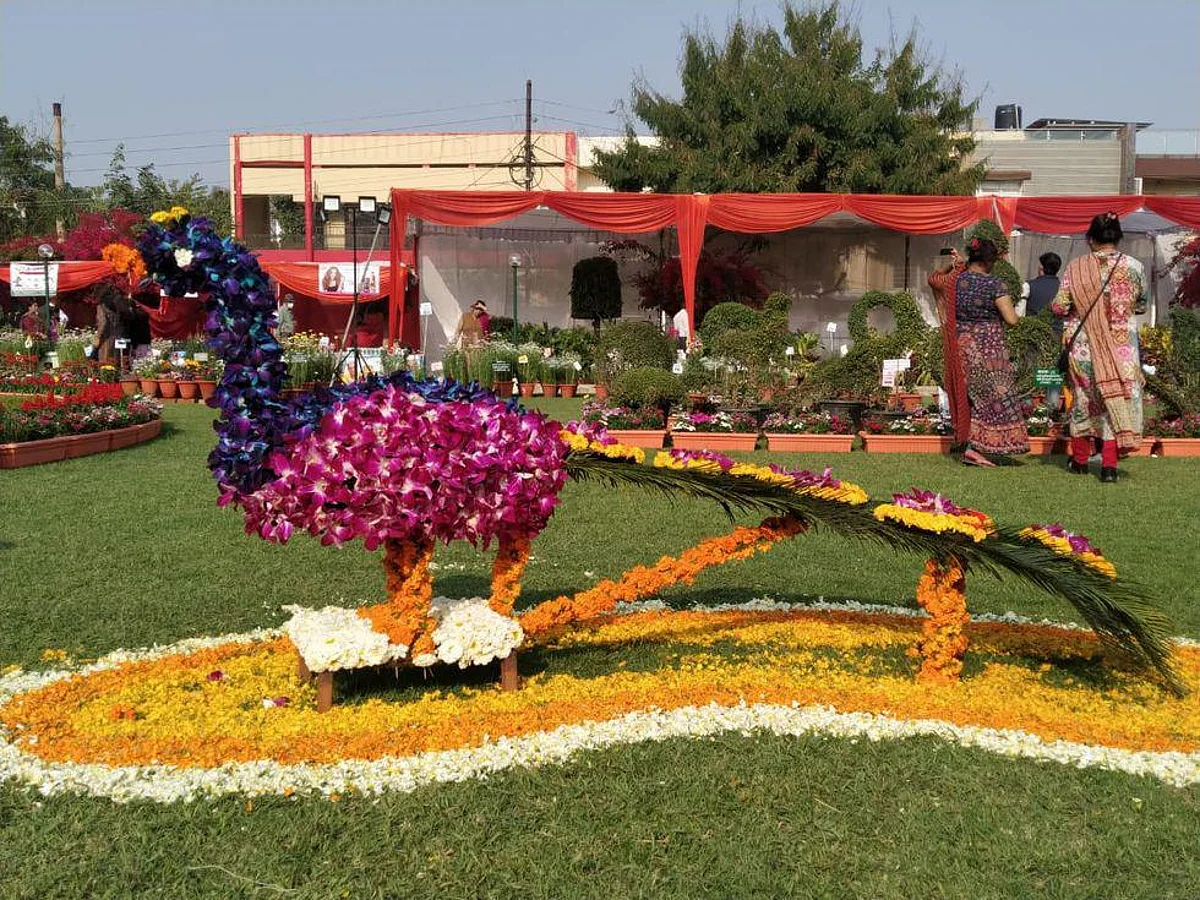 Flower Exhibition