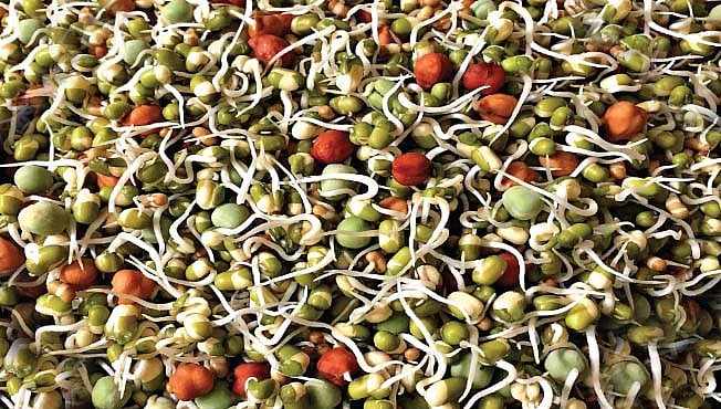 मोड आलेले कडधान्य खाल्ल्याने होतात हे अनेक फायदे There are many ...