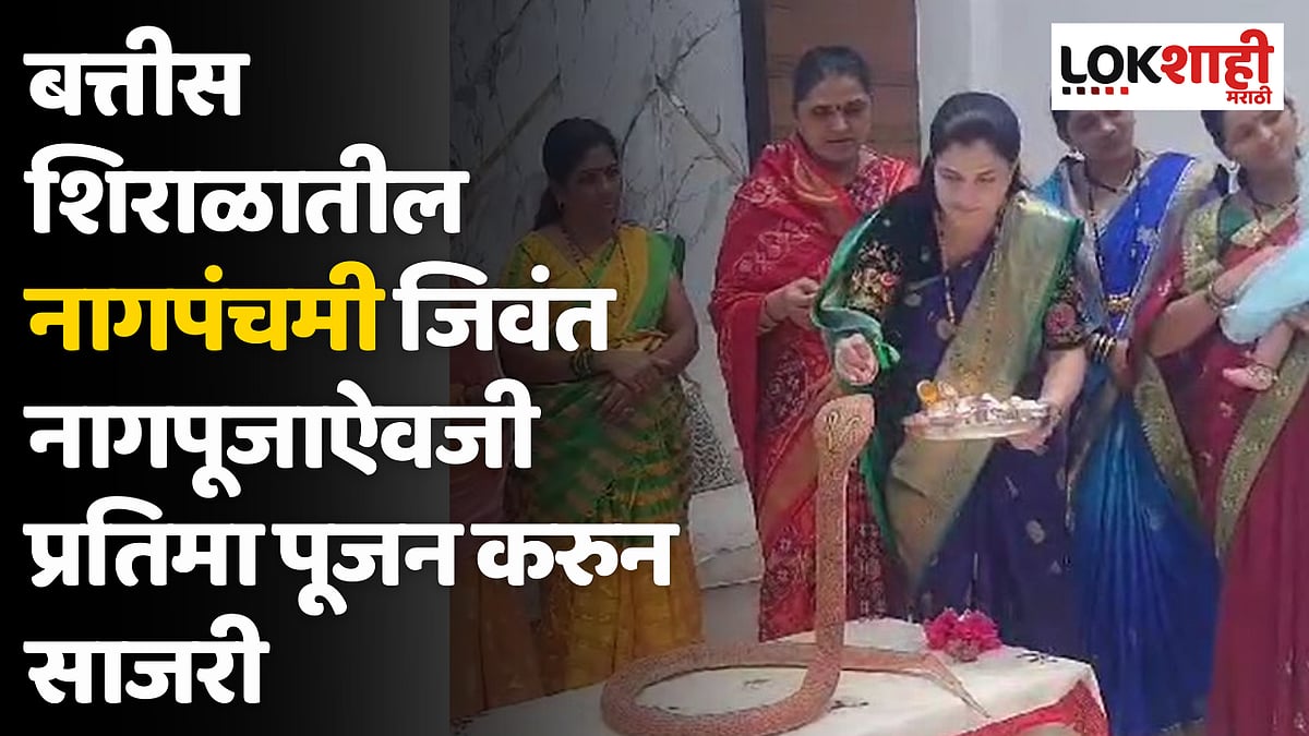 Battis Shirala : जगप्रसिद्ध बत्तीस शिराळातील नागपंचमी जिवंत नागपूजाऐवजी ...