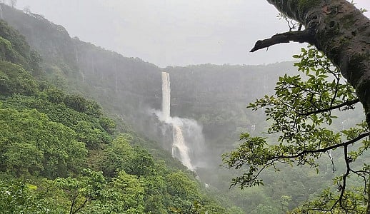 Bhambavli Vajrai waterfall | भारताचा सर्वात उंच धबधबा ओसंडून वाहतोय!