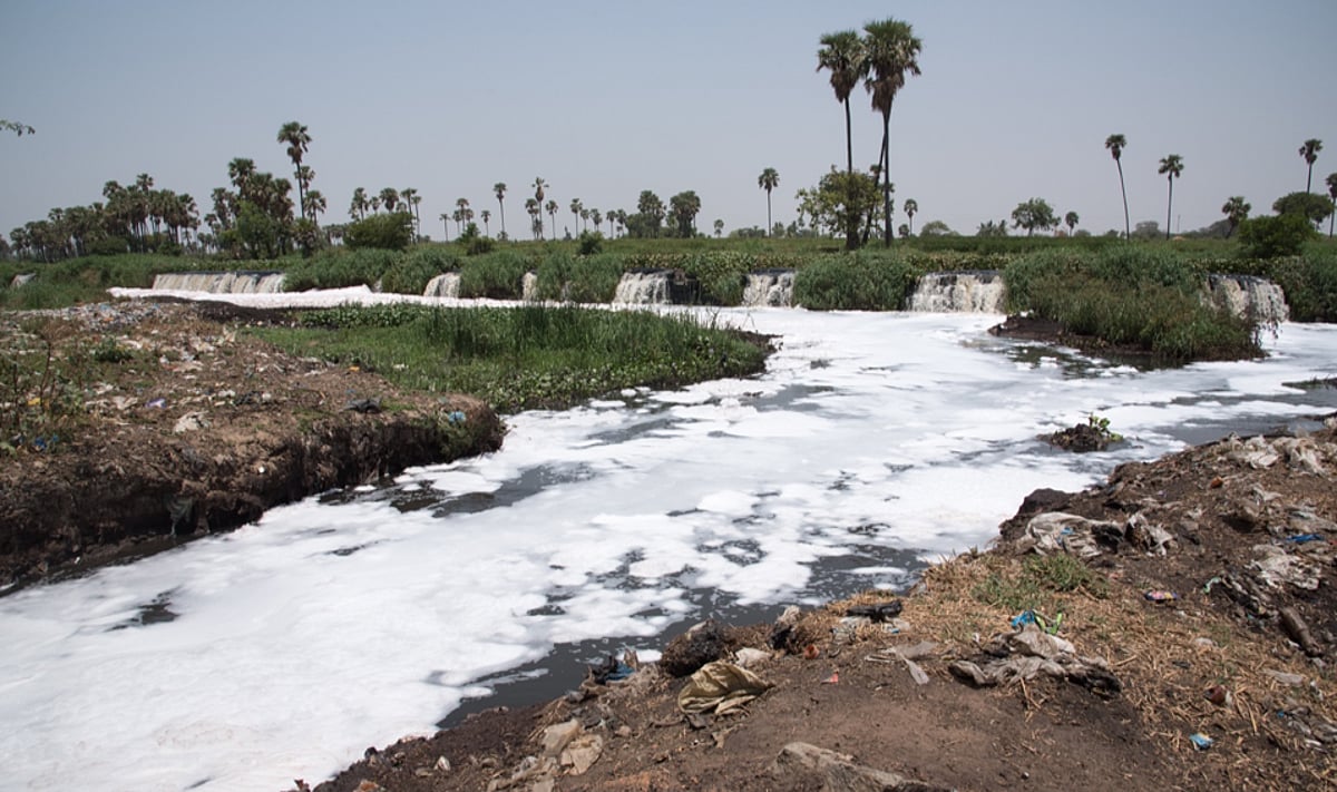 Antibiotic pollution in Sirsa river flowing through Baddi pharma hub