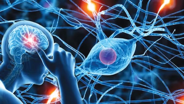 Diseases affecting the nervous system, symptoms and remedies