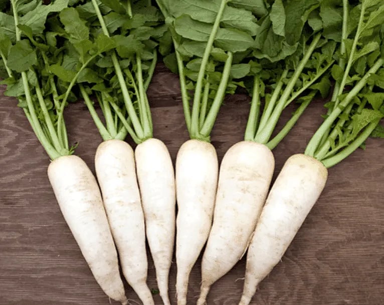 radish healthy uses and eating health benefit for heart