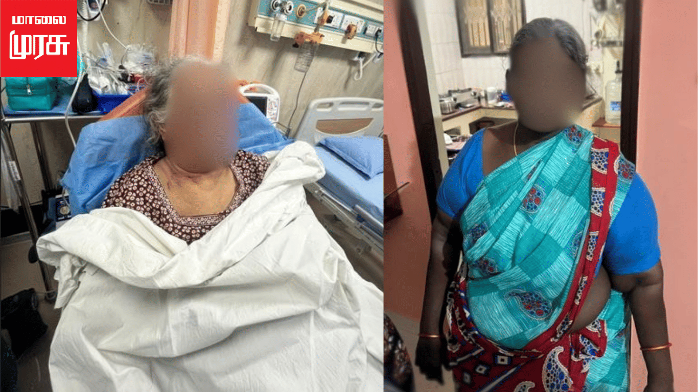 chennai mailapur theft and mur attempt at care taker in old lady