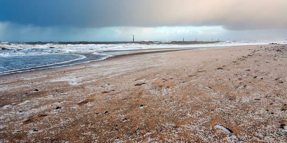 nurdles plastics affected the sea animals and humans
