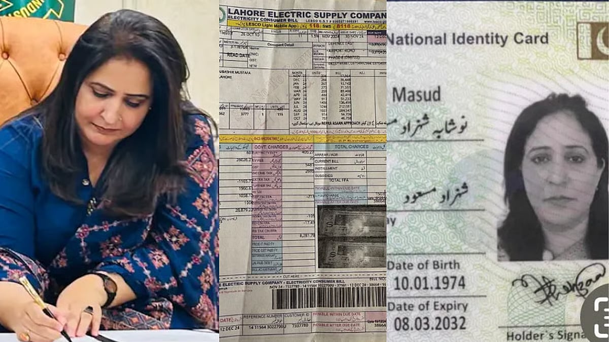 Who is 'Madam N' who has captivated Indian influencers?