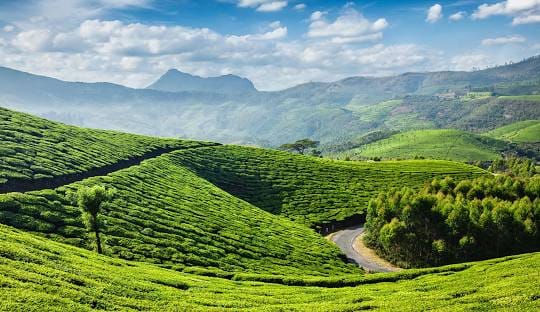 What are the places to visit in munnar