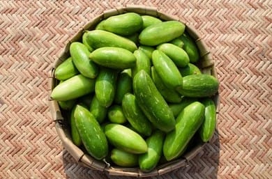 lvy gourd benefits and their medical usage