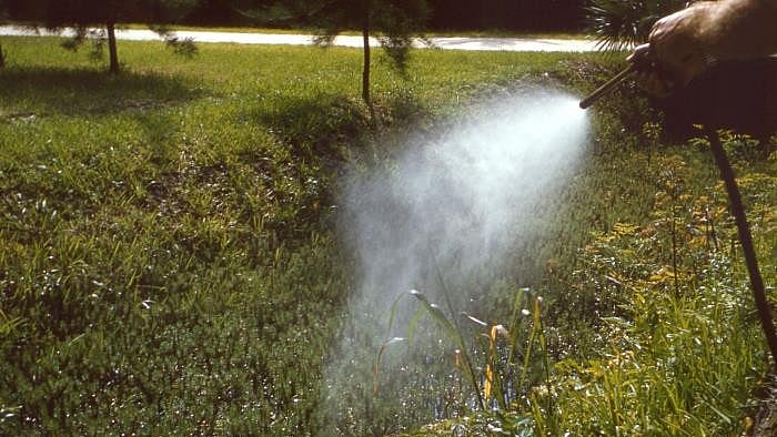 Role of Pyrethroid Derivatives in Autophagy and Potential risk for Malignancies