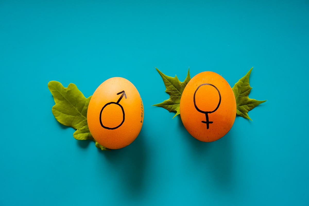 Can Choice Of Words Downplay Or Highlight Gender Bias can-choice-of-words-downplay-or-highlight-gender-bias