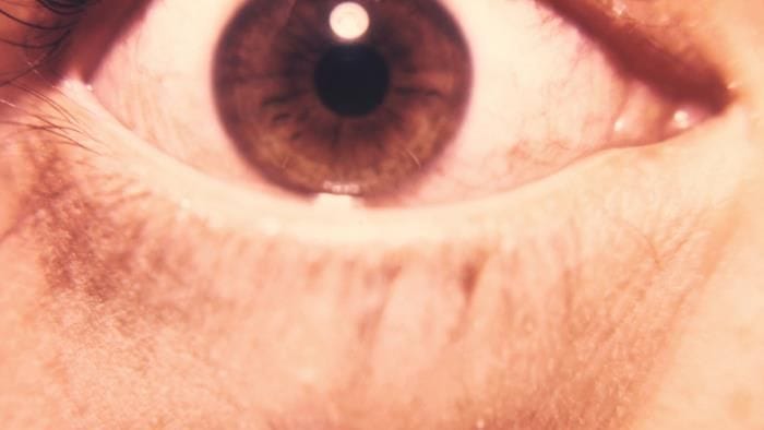 Bioengineered cornea can restore sight to the blind and visually impaired.