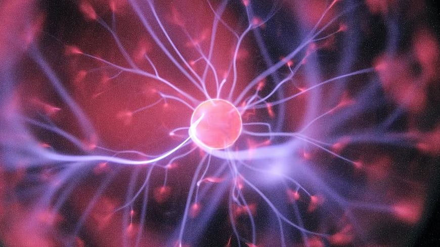 Making lab-grown brain organoids ‘brainier’.