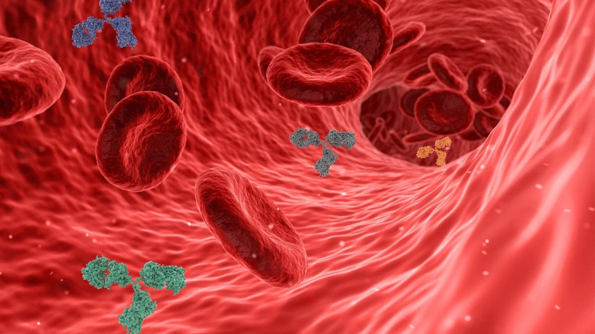 How UV Light Triggers Immune Activation & Disease Flares in Lupus