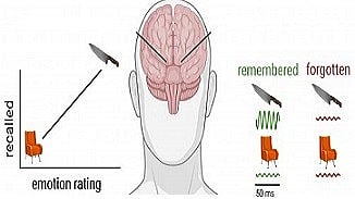 Why Do We Remember Emotional Events Better?