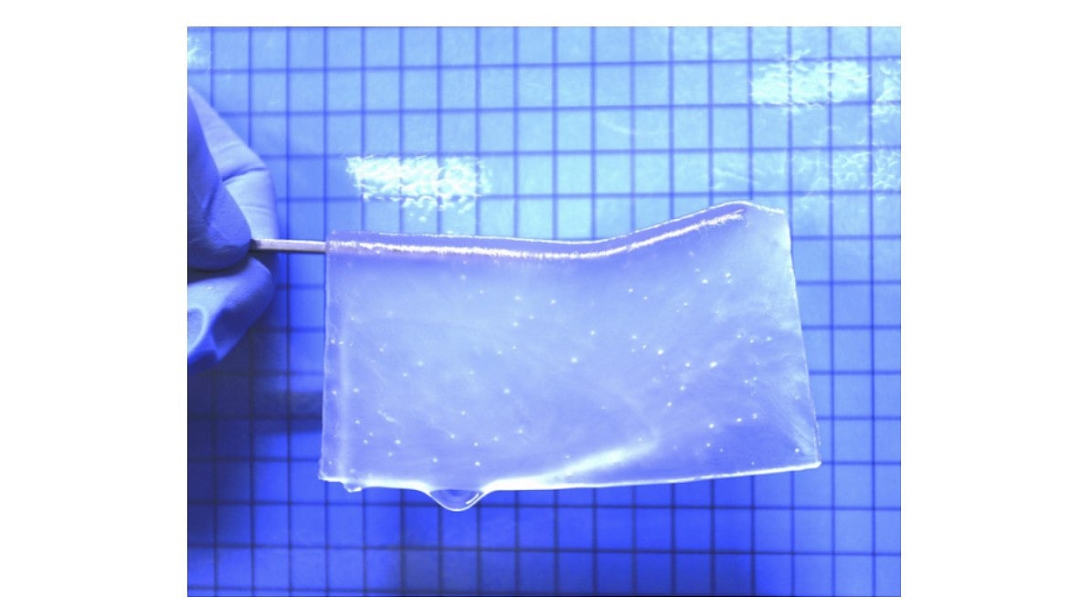 Healing-the-Brain:-Hydrogels-Enable-Neuronal-Tissue-Growth