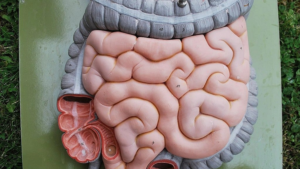 Kazakhstan Boy, 9, Gets New Life in India's First Paediatric Living ...