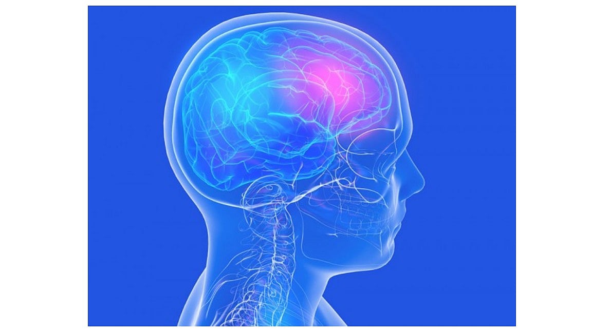 How Bacteria Invade the Brain