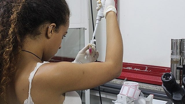 Simulating Cuts and Burns Reveals Wound Healing and Clearing Power of ...