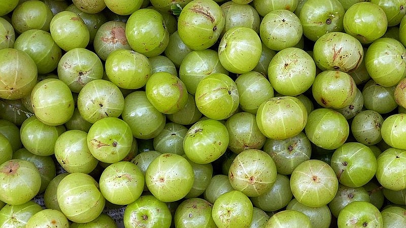 Paedia tips from Ayurpaedia - Dr Madhumitha Krishnan