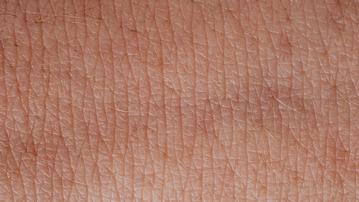 Why Does Skin Get ’Leathery’ After Too Much Sun? Bioengineers Examine ...