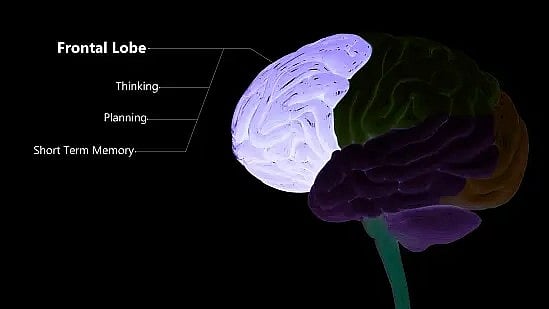 Reduced Grey Matter In Frontal Lobes Linked To Teenage Smoking and ...