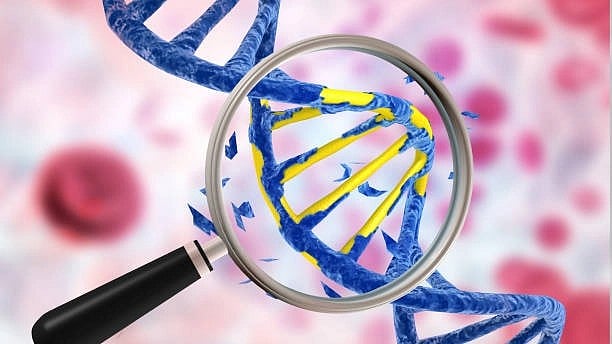 Art with DNA – Digitally Creating 16 million Colors by Chemistry