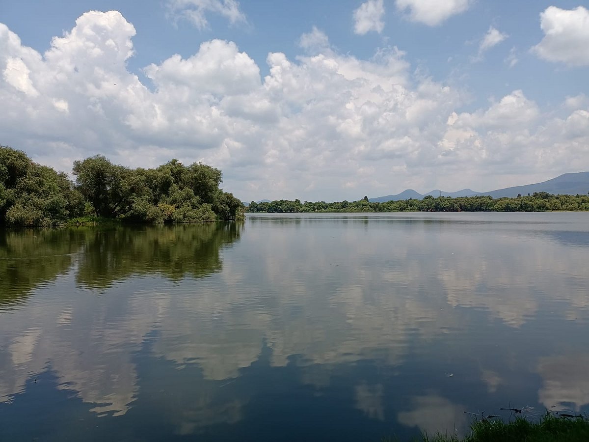 Déjate encantar por La Laguna de Zacapu
