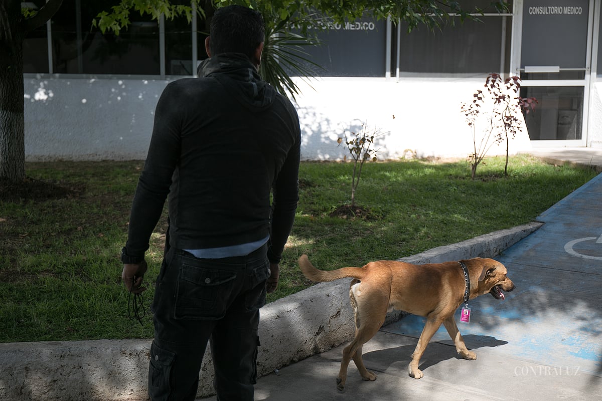 El perrito Chencho es reconocido como vigilante oficial de la SEE